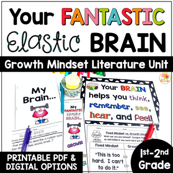 Your Fantastic Elastic Brain (for lower grades)