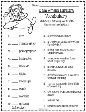 I am Amelia Earhart by Brad Meltzer Literature Activities